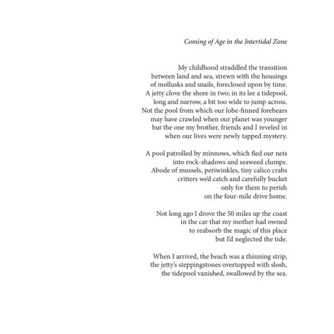 The Sword of Things – The Operating System and Liminal Lab